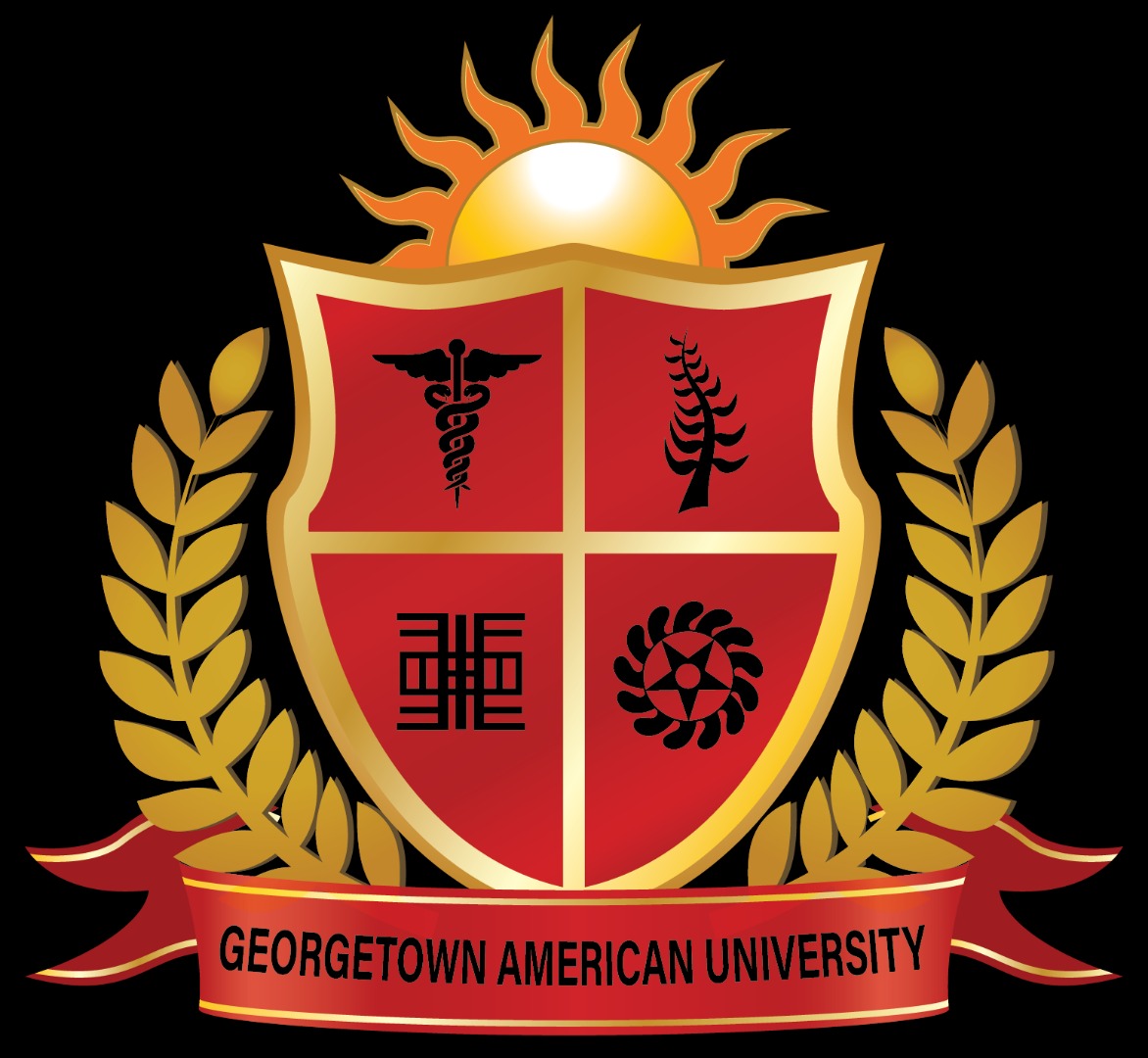 Georgetown American University - American Chamber